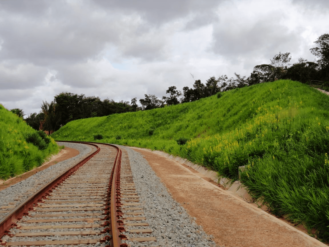 Aplicação de Biomantas – Terra Green