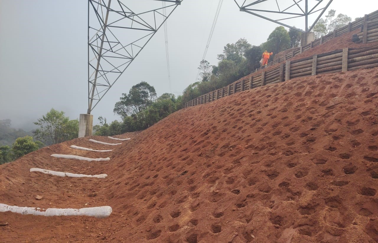 Aplicação de Biomantas – Terra Green
