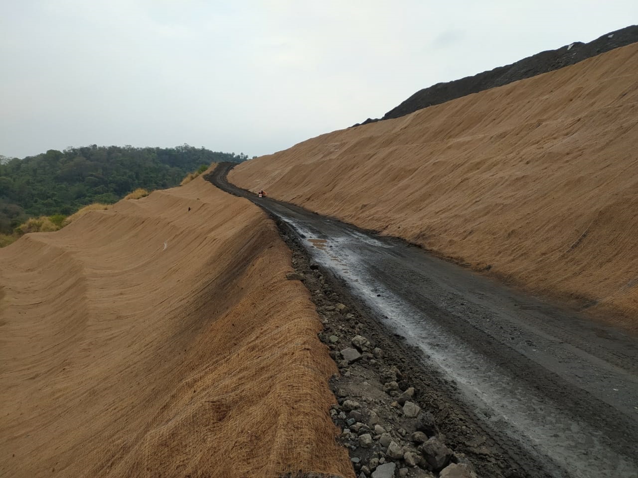 Aplicação de Biomantas – Terra Green